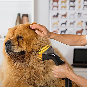 Free Paws Pet Dryer for Dog Cat Hair Blower, Portable Grooming Professional 4HP Forced Air Dryer for Dogs with Heating, for Large Small Pets Dogs Cats, Variable Speed (Yellow)