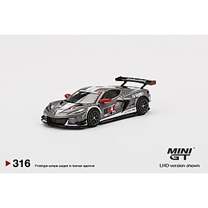 Mini GT Chevy Corvette C8.R 4 IMSA Sebring 12Hrs (2021) Limited Edition to 3600 Pieces Worldwide 1/64 Diecast Model Car by True Scale Miniatures MGT00316