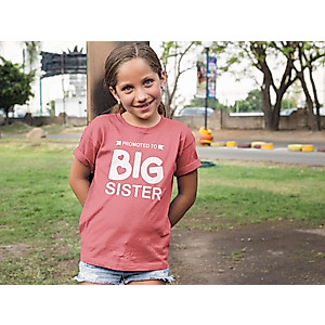 Promoted to Big Sister Shirt for Little Girls Toddler Baby Announcement Outfits (US, Age, 2 Years, Mauve)