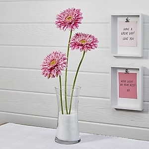 FloraCraft Diamond Dust Glitter 14 Ounce Clear Glass