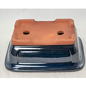 Rectangular Shohin Bonsai/Cactus & Succulent Pot 8"x 6"x 3" - Navy Blue Glazed