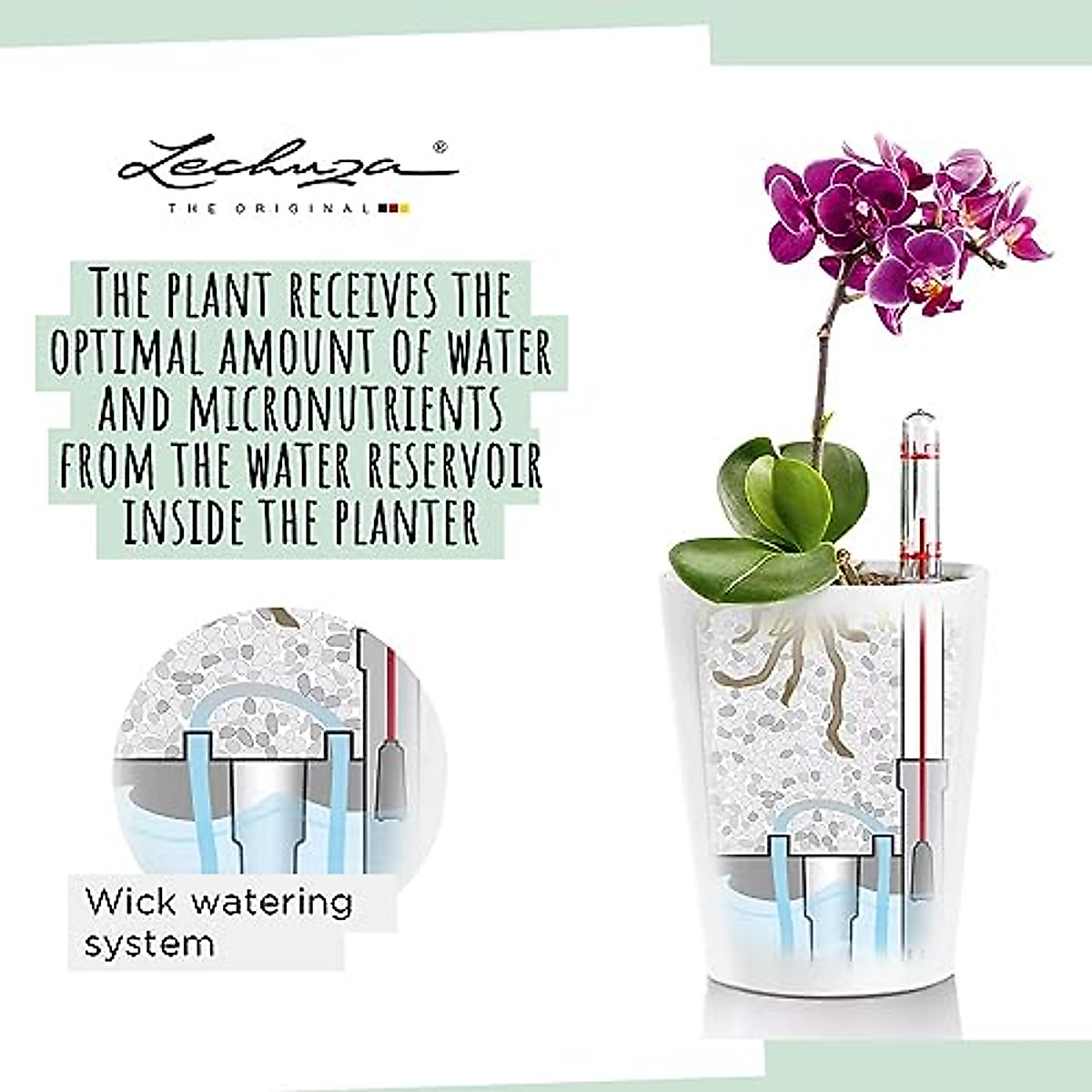 Lechuza 14900 Deltini Self-Watering Planter for Indoor and Outdoor Use, 6" x 6" x 7", White