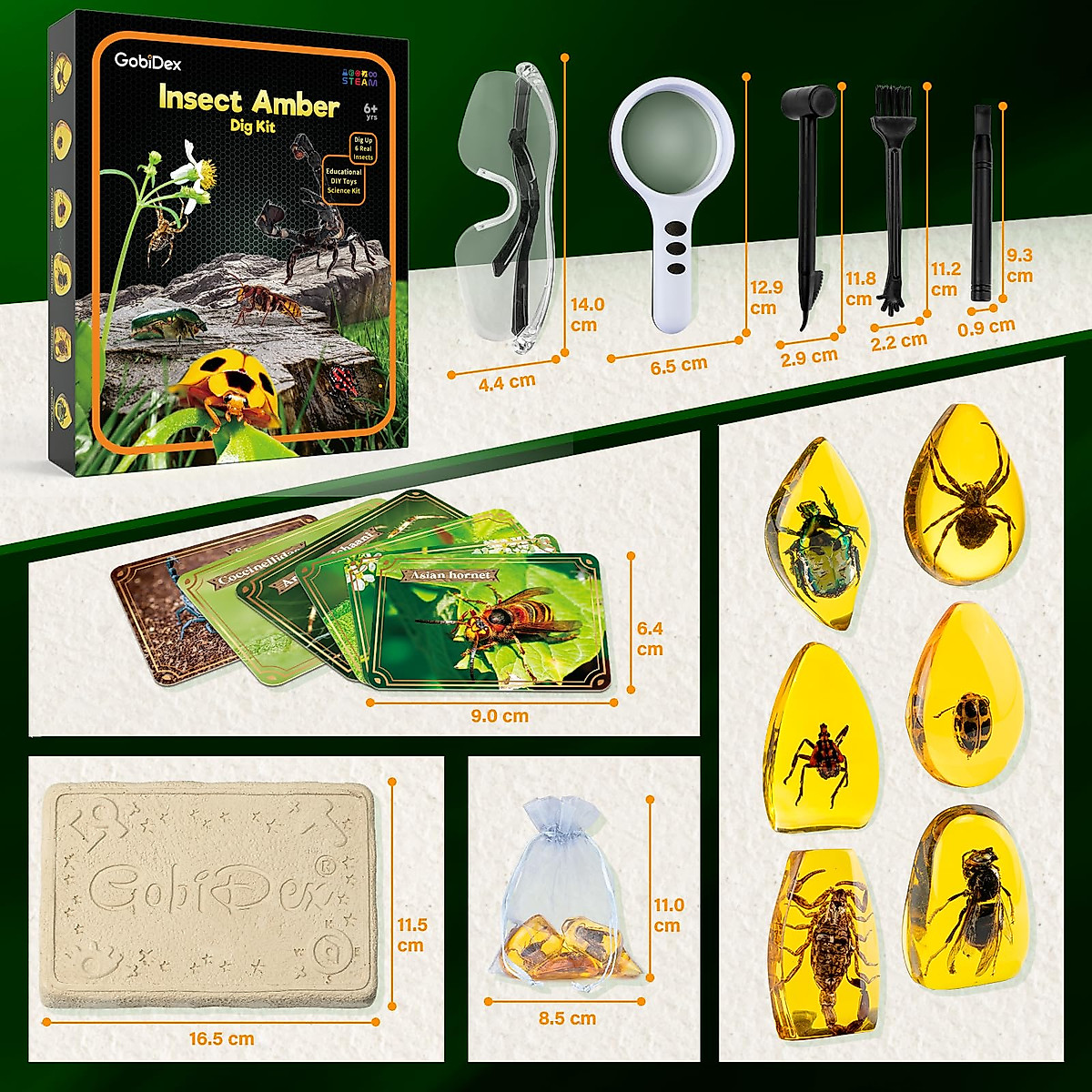 Amber Dig Kit-Artificial Insect Resin, Excavate 6 Insects Specimens, STEM Geographic Educational Bugs Toys, Excavation Toys Science Kit for Fun Bugs Party Favors, Bug Collection Kit for Kids Age 6+