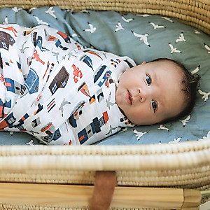 Bebe au Lait Nautical Seagulls Oh-So-Soft Muslin Swaddle Blankets, Blue, One Size (SWBBNT)