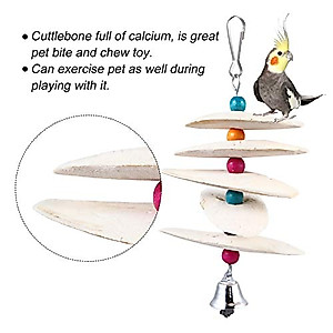 UKCOCO Parakeet Cage Accessories Bird Parrot Cuddle Bone Parrot Toy Natural Cuddle Bone Bird Parrot Chewing Toy Cuttlefish Bone Chew Toy for Parakeets Cockatiel Macaw Lovebirds Parakeet Toys