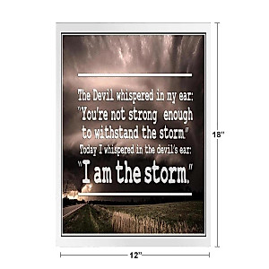 I Am The Storm Quote Motivational Inspirational Perseverance Determination Perseverance Strength Resilience Dedication Hustle Grind Ambition Motivational White Wood Framed Wall Art 20x14