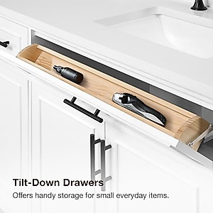 Ove Decors Emery 72 in. Double Sink Bathroom Vanity, in Pure White