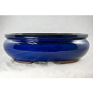 Calibonsai Oval Glazed Bonsai / Succulent Pot + Tray + Mesh 12''x 8.5''x 3.75'' - Dark Blue