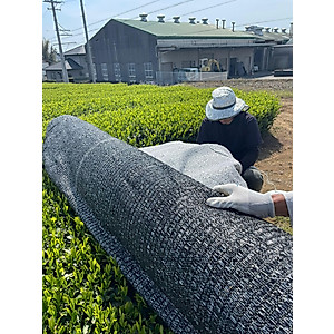 Midori Spring Organic Ceremonial Grade Matcha - Gold 1st Harvest Blend, Japanese Stone Ground Green Tea Powder, Radiation, Gluten Free, Vegan