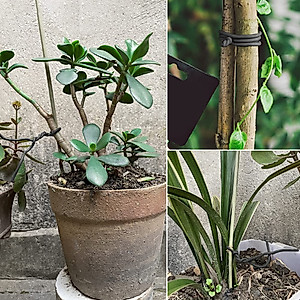 Shintop Reusable Garden Plant Twist Tie 2.8mm, 2PCS 65Feet Heavy Duty Soft Wire Tie for Tomato Plants, Climbing Roses and Vines Organizing (Black)