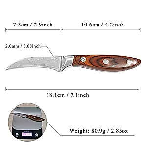 3-Inch Damascus Paring Knife with Damascus Steel Tourne Knife Curving Blade and Pakkawood Handle, Sharp Fruit Peeling Knife Perfect for Slicing and Trimming