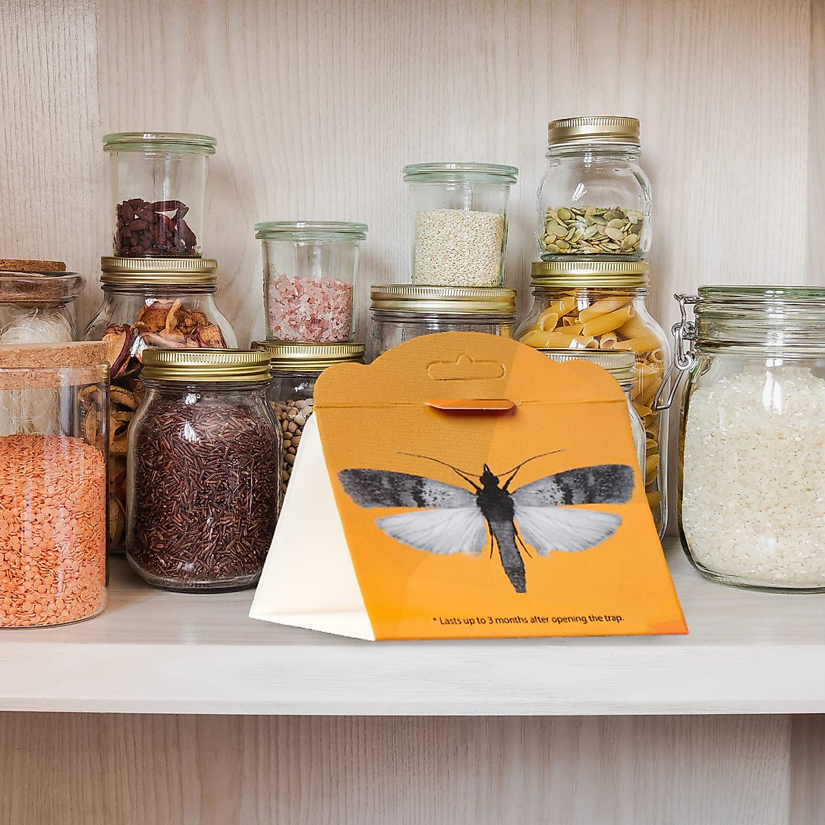 Pantry Moth Trap 10-Pack - Pantry Moth Glue Traps for House Pantry, Pantry MothTraps for Food and Cupboard Moths, Pantry Moth Traps with Pheromones Indian Meal Moth Pest Traps for Kitchen