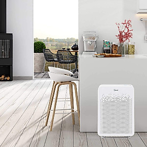 Winix Air Cleaner with PlasmaWave Technology (C545)