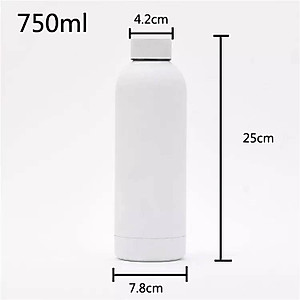 HISHTA 750mL Insulated Drinking Water Bottle - Double Wall Stainless Steel, BPA-Free, 12-24 Hour Thermal Insulation Performance, Sports Water Bottle with Secure Twist Cap - Navy Blue