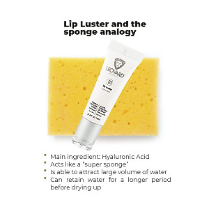 Leovard Lip Luster Hyaluronic Acid Lip Hydrating Lip Serum Balm - Organic Natural Lip Hydrating Treatment, Moisturizing Lip Serum, Reduce Dryness Lip Lines Lip Enhancer For Fuller Plump Lips (1 Pack)