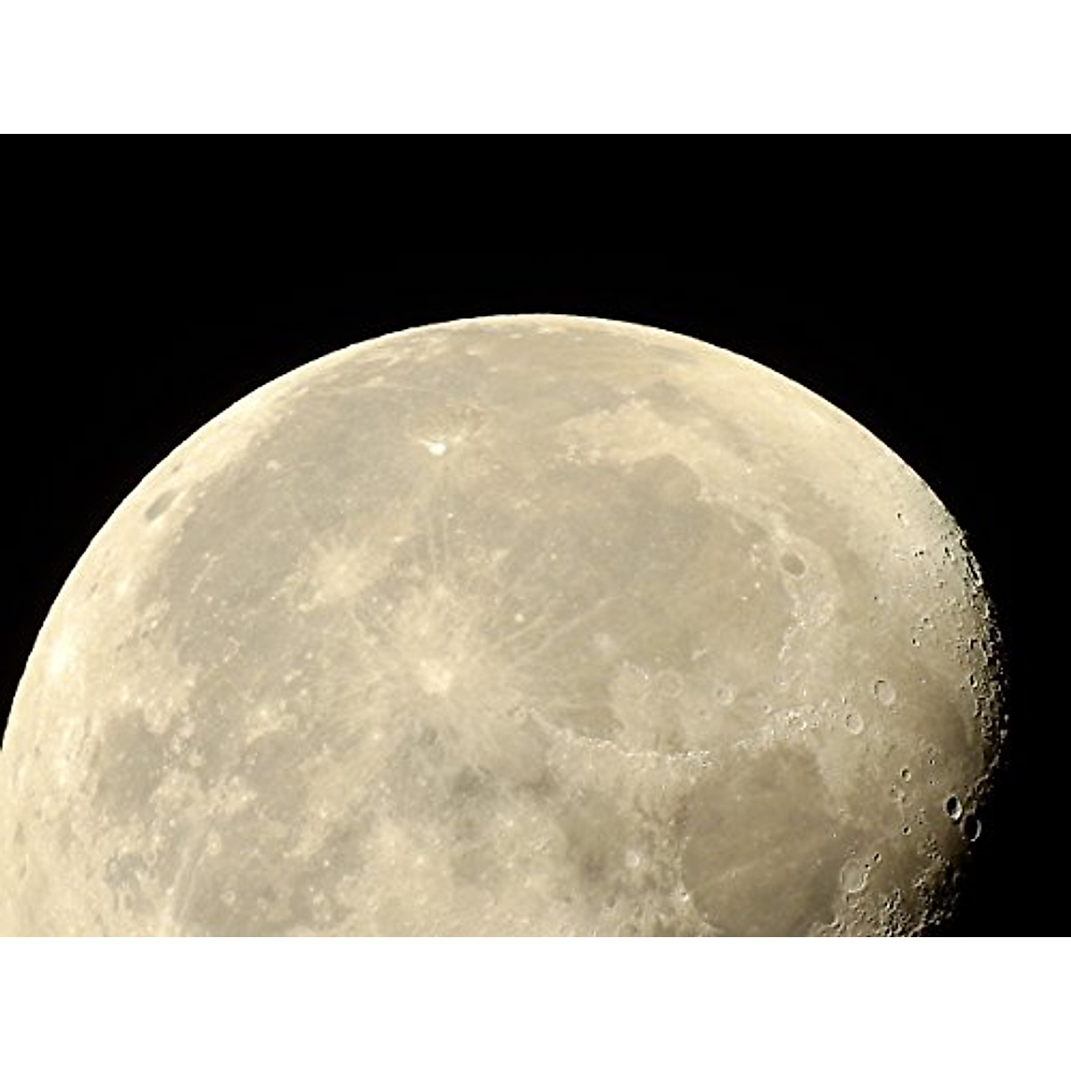 Nikon Coolpix P900 Super Zoom Camera - New