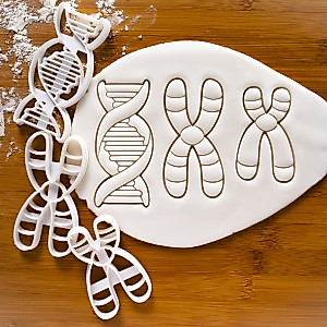 Set of 3 DNA themed cookie cutters (Designs: DNA, Chromosome and Chromosome Y), 3 pieces - Bakerlogy
