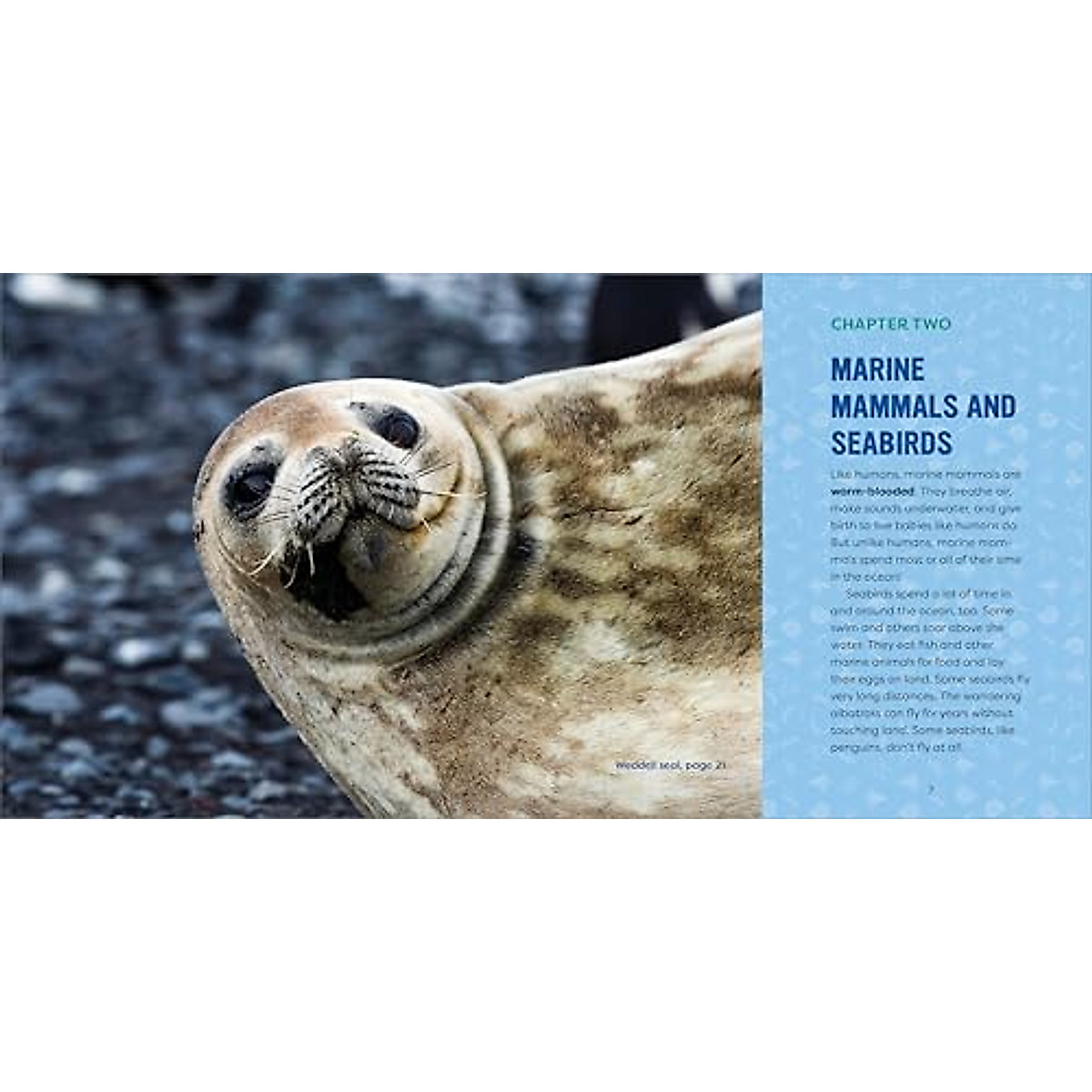 Ocean Animals for Kids: A Junior Scientist's Guide to Whales, Sharks, and Other Marine Life