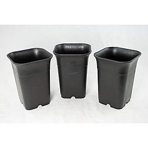 3 Square Plastic Cascade Bonsai Pot, Succulent & Orchid Planter - 4"x 4"x 5.5"