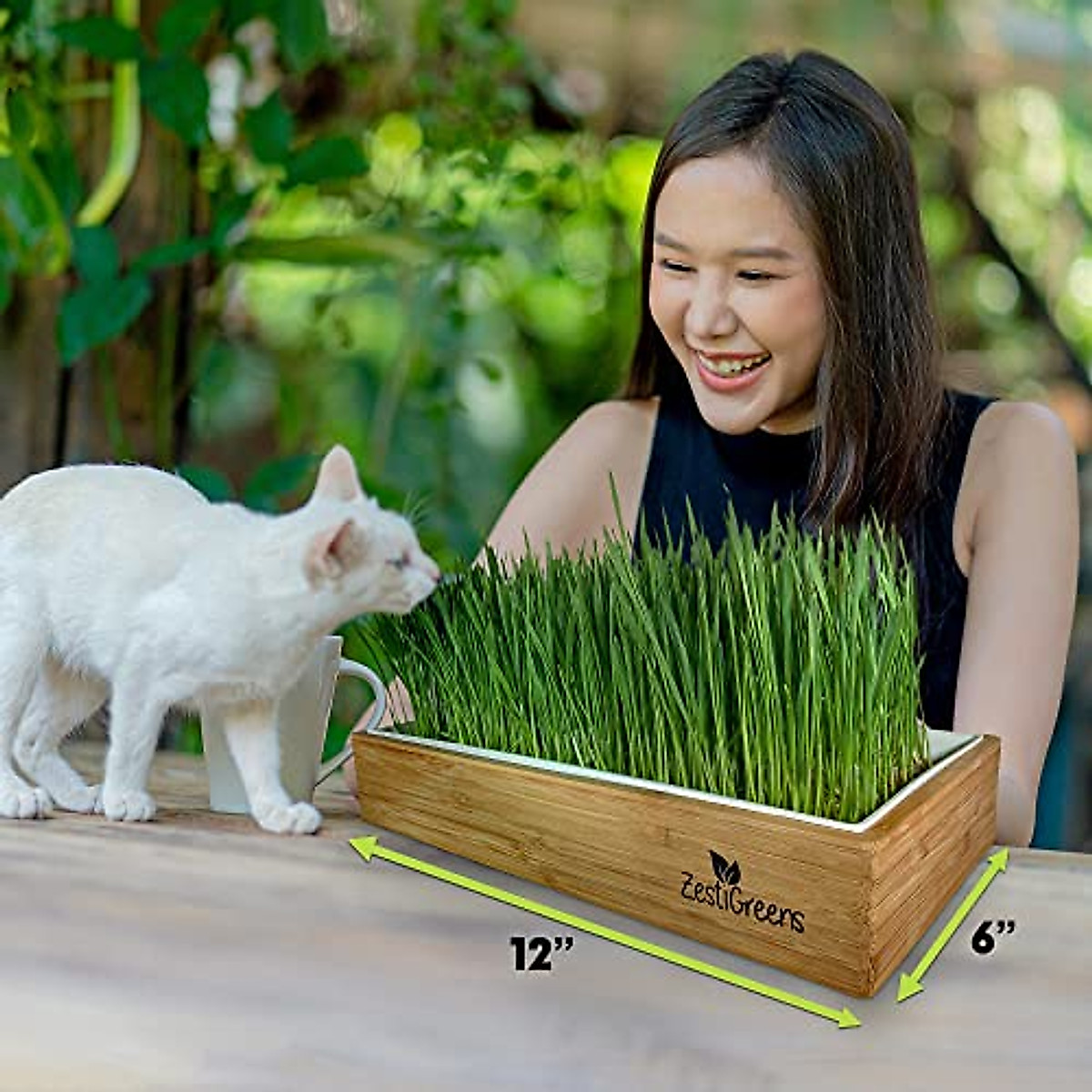Self Watering Cat Grass Kit. Hands Down The Easiest Way to Grow Cat Grass. Everything Included to Grow a Large Crop of Delicious Cat Grass.