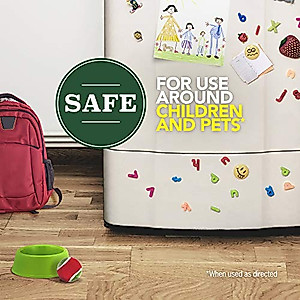 Raid Ant and Roach Killer, Aerosol Spray with Essential Oils 11 Ounce (Pack of 1)