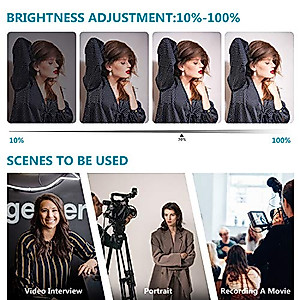 Neewer Rollable 30x53cm LED Light Panel Mat on Fabric 48W 4500LM 5600K CRI 90+ 512 LED Light Panel with Handle Grip, Remote Control, Diffuser Cloth, Carry Bag for Traveling Outdoor Photography