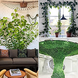 Plant Fixture Clips for Wall Climbing Plants Vines, 50 PCS Snail Shape Invisible Climbing Plant Wall Clips for Indoor and Outdoor Plants Support and Decoration