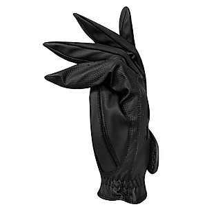 Ray Cook Golf MRH Silver Ray All Weather Glove Black Small