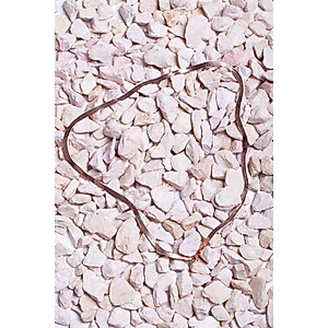 BERISO 18K Rose Gold Plated Shiny Snake Necklaces Herringbone Necklace for Women Women’s Herringbone Chain Trendy Sparkle Snake Chain Necklace