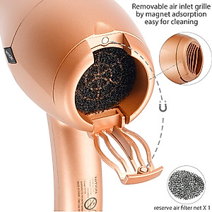 NITION Negative Ions Ceramic Hair Dryer with Diffuser(Large Size 5.3 inch) Attachment Ionic Blow Dryer Quick Drying,1875 Watt 2 Speed / 3 Heat Settings,Cool Shot Button,Lightweight,Gold