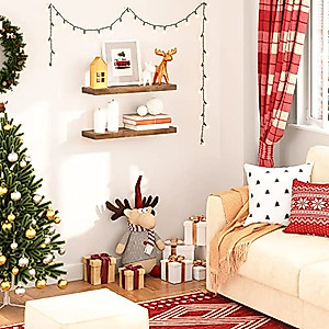 HOOBRO Floating Shelves, Wall Shelf Set of 2, 23.6 Inch Hanging Shelf with Invisible Brackets, for Bathroom, Bedroom, Toilet, Kitchen, Office, Living Room Decor, Rustic Brown BF60BJ01