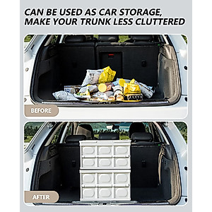 Collapsible Storage Bins Box with Lids and Handle, 30L Portable Plastic Storage Crate Containers Totes, Instacrate Stackable Foldable Camping Basket Supplies for Camp Fishing Car RV, Office (Black)