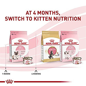 Royal Canin Feline Health Nutrition Mother & Babycat Ultra Soft Mousse in Sauce Canned Cat Food, 3 oz (Pack of 24)