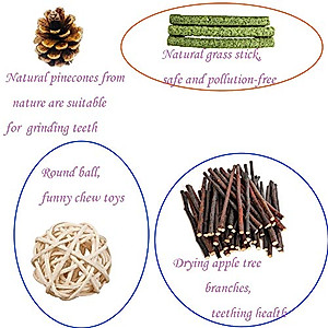 PD Hamster Chew Toys for Teeth, Natural Wood Dumbbells Exercise Bell Roller Molar Toys for Rabbit Bunny Chinchilla Guinea Pig Gerbils Groundhog Squirrels (Style 1)