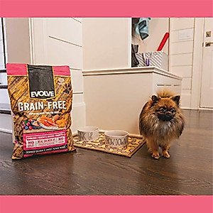 Evolve Grain Free Deboned Salmon & Sweet Potato Recipe Dog Food, 3.5 lb.