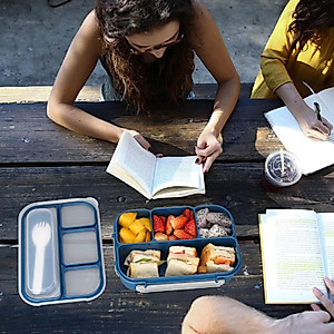 Ylebs Bento Box 1300ML Bento Lunch Boxes For Adults,4 Compartment Lunch Containers With Spoon & Fork,Microwave & Dishwasher & Freezer Safe,BPA Free (Blue)