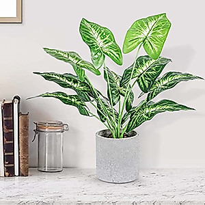 WUKOKU 16" Small Fake Plants Artificial Potted Faux Plants Desk Plant for Home Office Farmhouse Kitchen Shelf Indoor Decor
