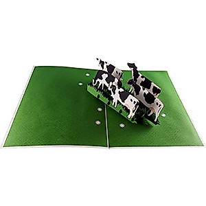 iGifts And Cards Dairy Cows 3D Pop Up Greeting Card - Cattle, Farm, Barn, Grass, Wow, Half-Fold, Happy Birthday, Friendship, Thank You, Father's & Mother's Day, All Occasions, Retirement, Welcome