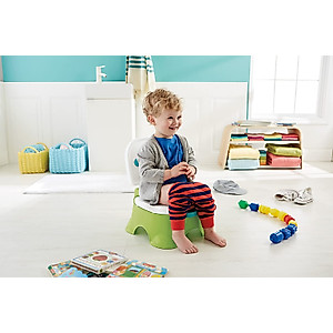 Fisher-Price DLT00 Royal Stepstool Potty