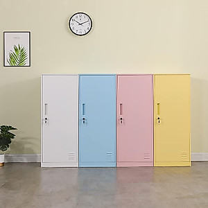 DAYTOYS 1 Door Metal Vertical Storage Locker for Kids Bedroom, Children Room, School, Office, Home,Stackable Steel Storage Cabinet for Toys, Clothes & Sports Equipment,Anti-Falling Device. (1D, Pink)