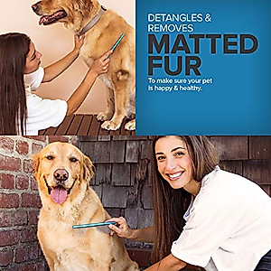 Paws Pamper Professional Greyhound Comb for Dogs and Cats