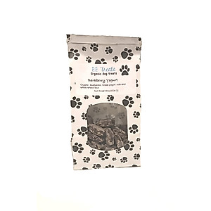 BB Treats- Barkberry yogurt