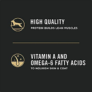 Purina Pro Plan High Protein Puppy Food DHA Lamb & Rice Formula - 6 lb. Bag