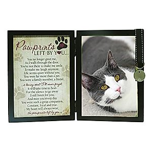 Pawprints Left By You Memorial 5x7 Frame for Cat with Pet Tag