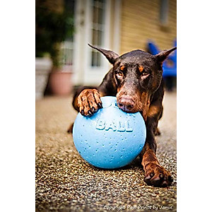 Jolly Pets Bounce-n-Play Dog Toy Ball, 8 Inches/Large, Blueberry, (Model: 2508 BB)
