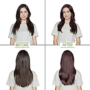 Garnier Hair Color Nutrisse Nourishing Creme, 20 Soft Black (Black Tea) Permanent Hair Dye, 2 Count (Packaging May Vary)