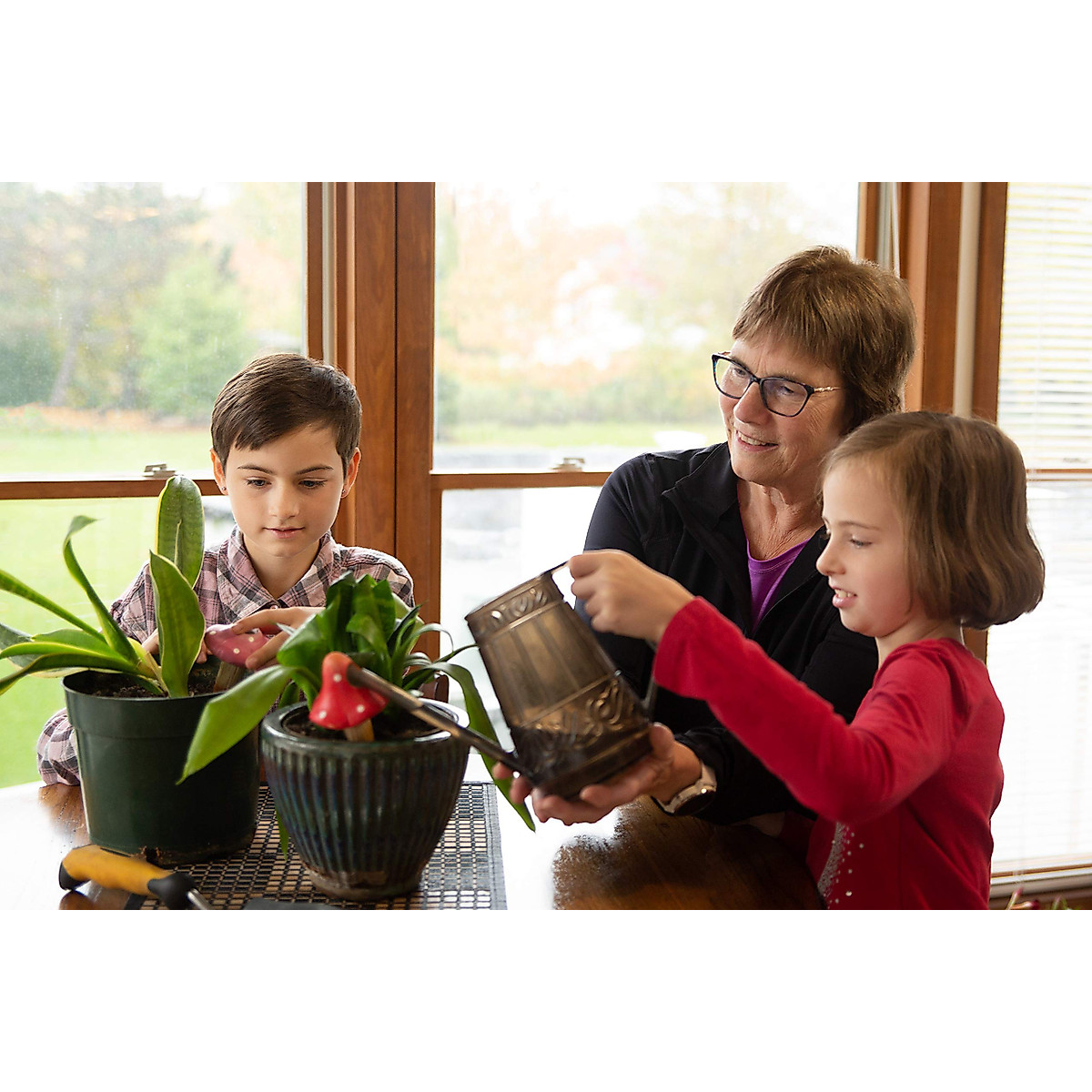 VYV Wellness LLC Self-Watering Terracotta Mushroom Planters - Automatic Plant Waterers for Potted & Hanging Plants - 6 Pack