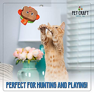 Pet Craft Supply Silly Snacks and Funny Food Crinkle Cuddling Catnip and Silvervine Interactive Cat Toys - Great for Indoor Cats and Kittens, All Breed Sizes