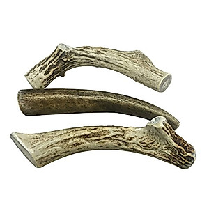 WhiteTail Naturals | 3 Pack Medium | Deer Antler Dog Chews | All Natural Organic Antlers for Dogs | Long Lasting Antler Bones for Dogs | Durable Antler Dog Toy