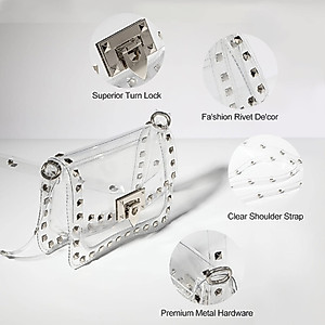 NEW RUICHENG Clear Purse for Women, Clear Crossbody Bag, handbag, shoulder bag with silver chain strap PGA stadium certification bag(silver)